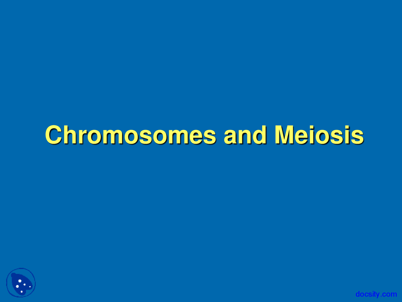 Chromosomes And Meiosis Biology Lecture Slides Docsity