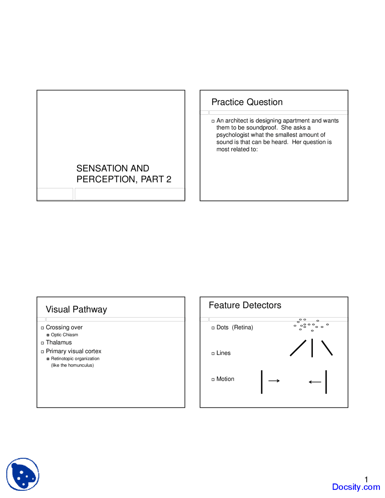 Visual Pathway Basic Psychology Lecture Slides Docsity
