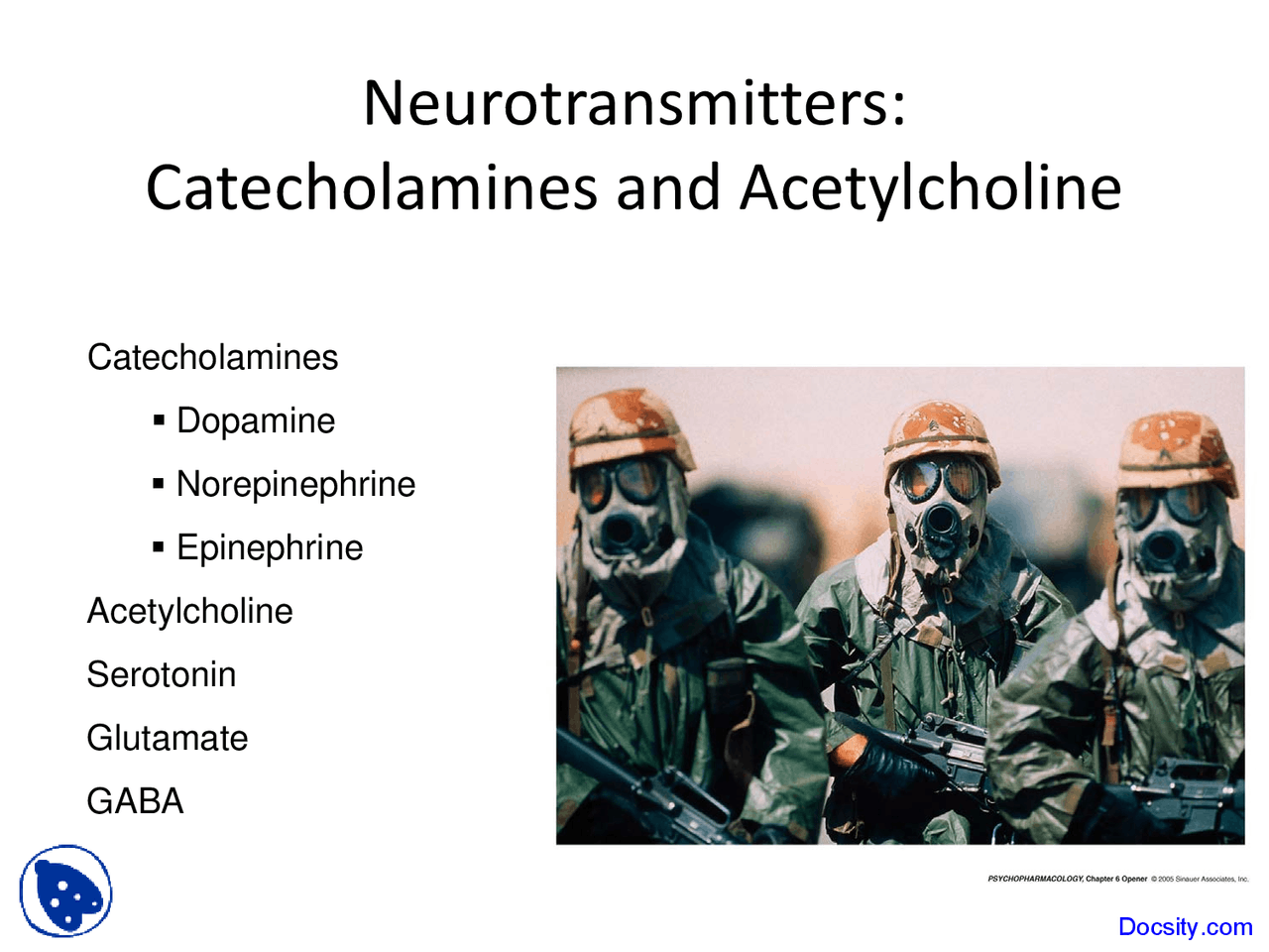 Catecholamines and Acetylcholine - Drugs, Brain and Behavior - Lecture ...