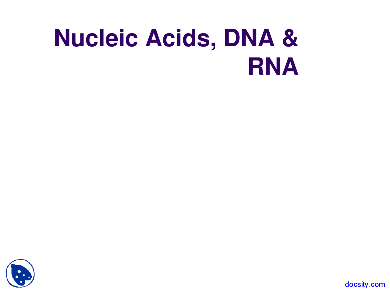 Nucleic Acids - Biology - Lecture Slides - Docsity