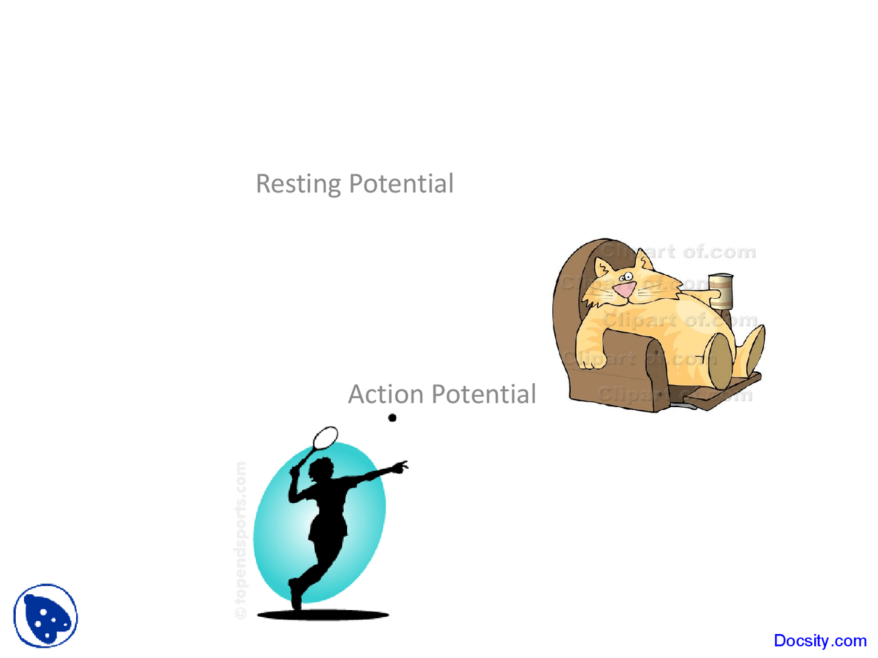 Resting and Action Potential - Drugs, Brain and Behavior - Lecture Slides | Slides Behavioural ...