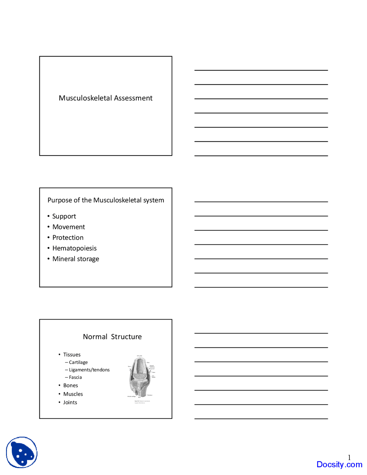 Musculoskeletal Assessment Nursing Lecture Slides Docsity