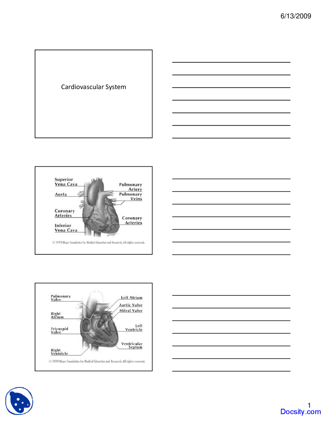 Cardiovascular System Nursing Lecture Slides Docsity