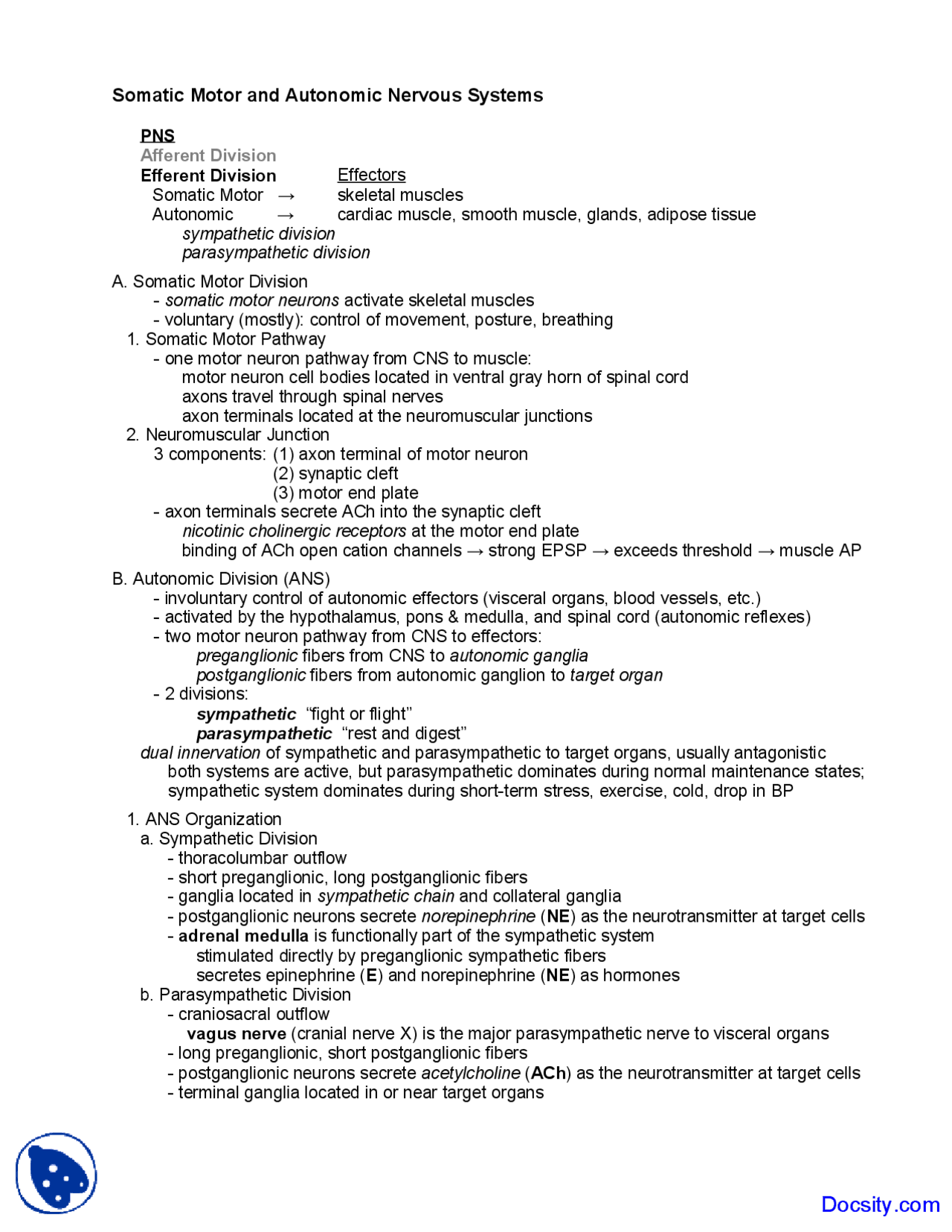 Autonomic Nervous Systems - Human Physiology - Lecture Notes | Study ...