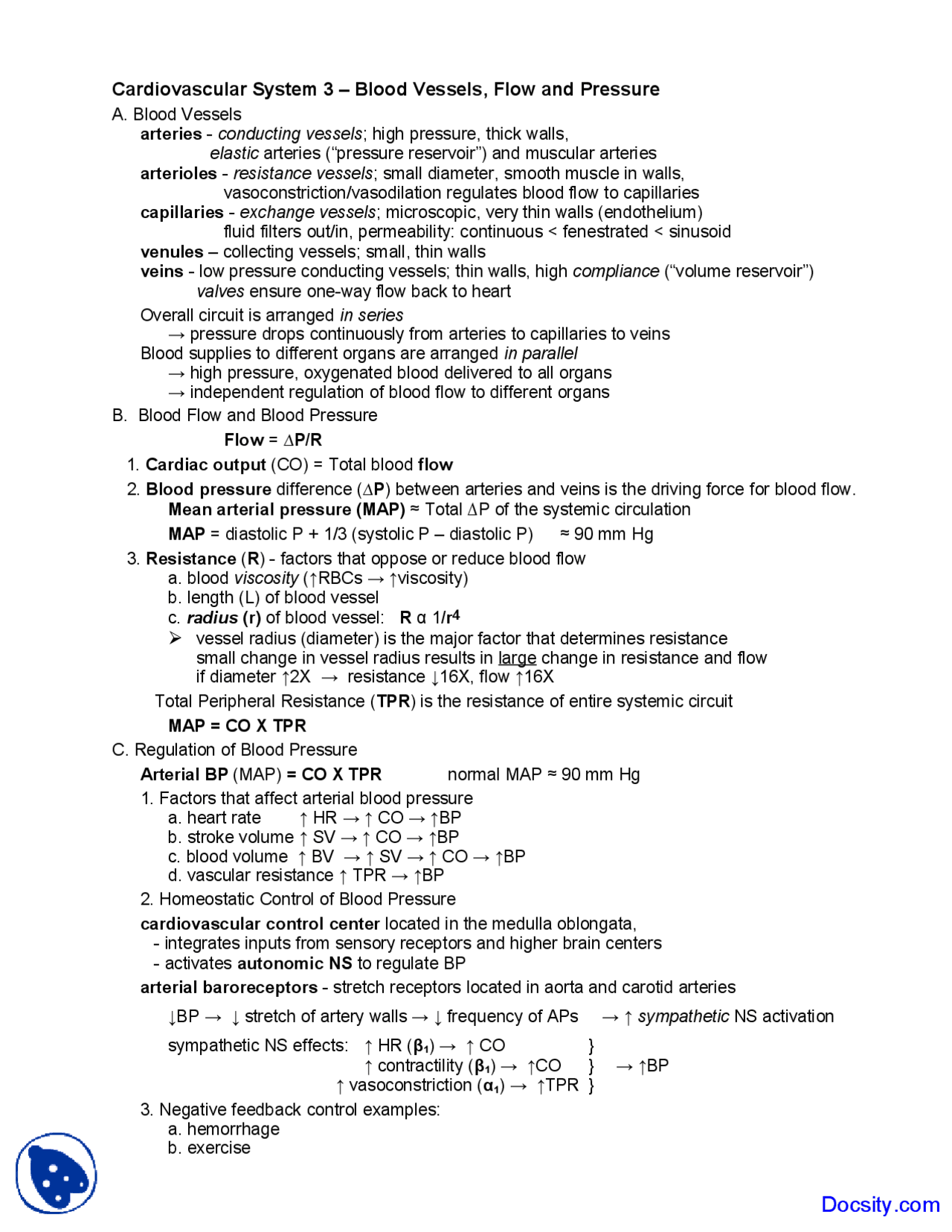 Blood Vessels - Human Physiology - Lecture Notes - Docsity