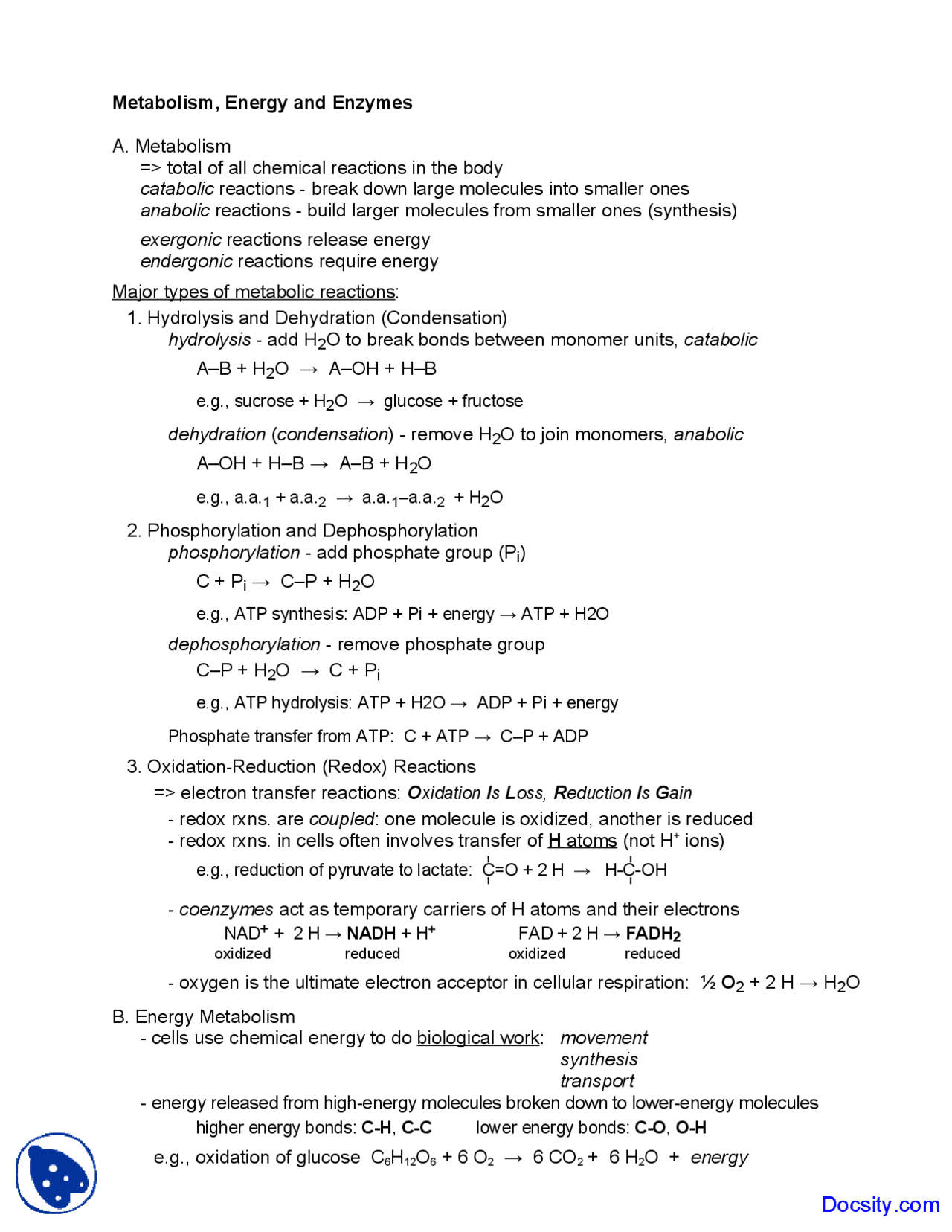 Metabolism Human Physiology Lecture Notes Docsity