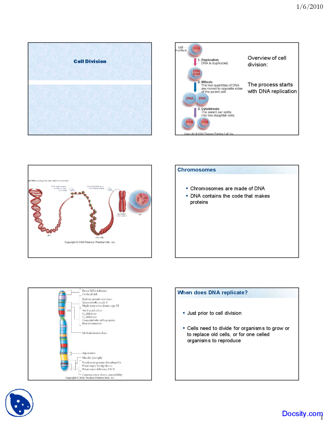 Cell Division General Biology Lecture Slides Docsity
