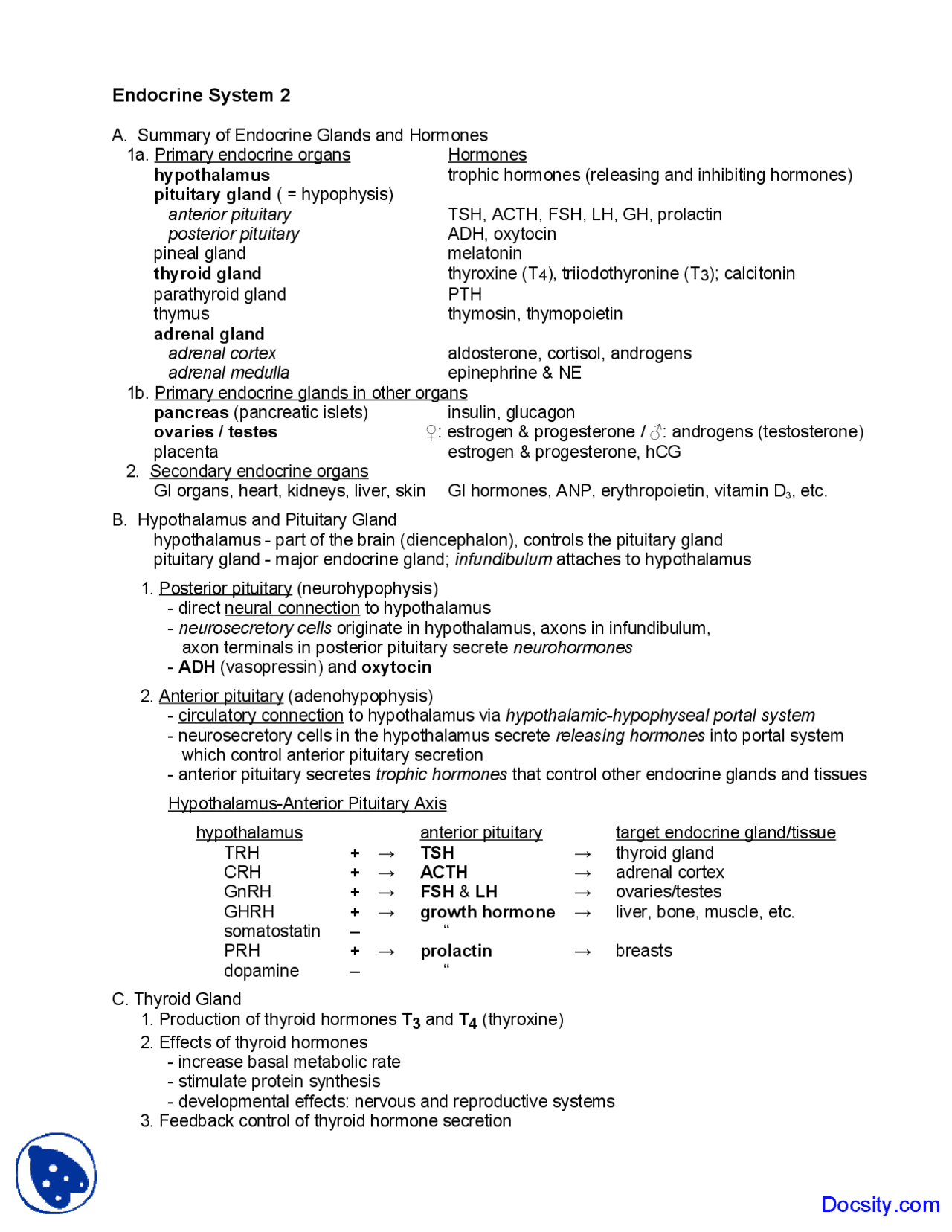 Summary Of Endocrine Glands Human Physiology Lecture Notes Docsity