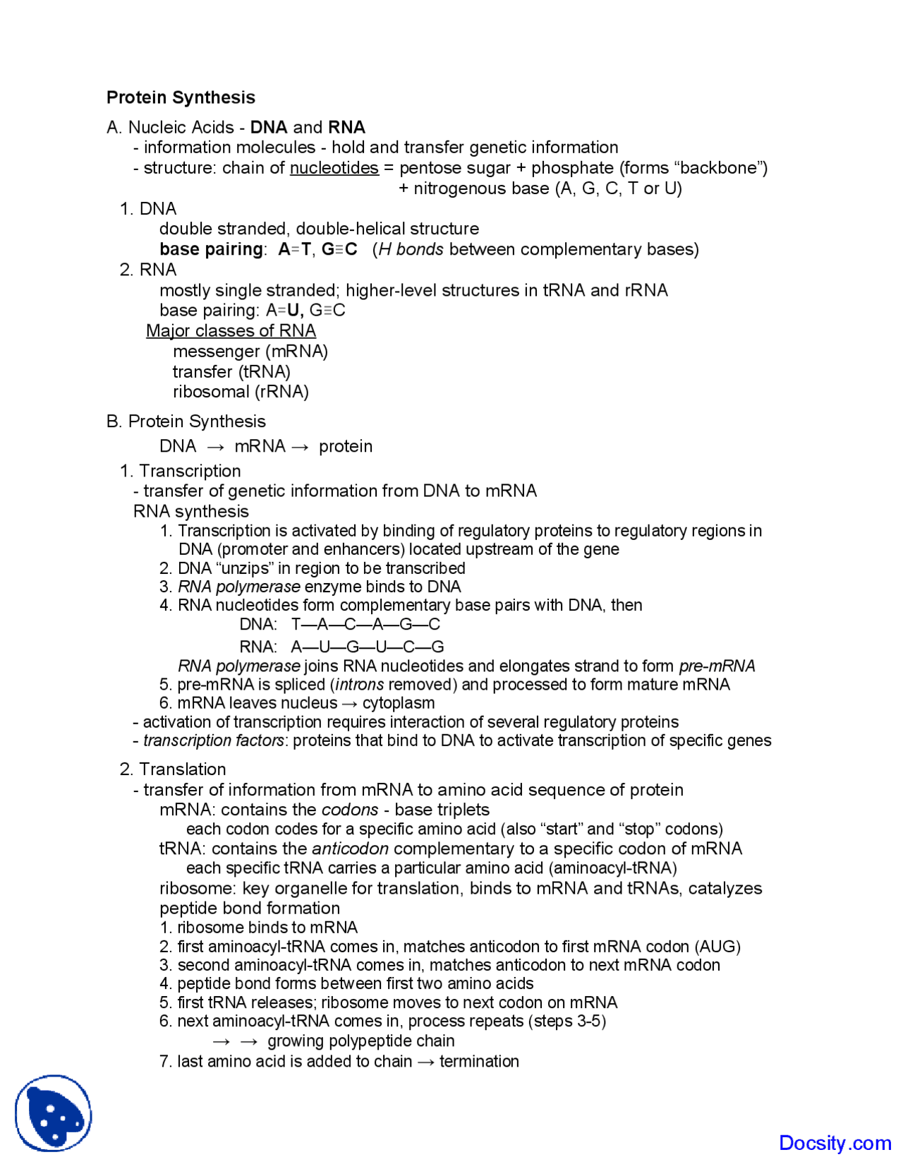 Protein Synthesis Human Physiology Lecture Notes Docsity