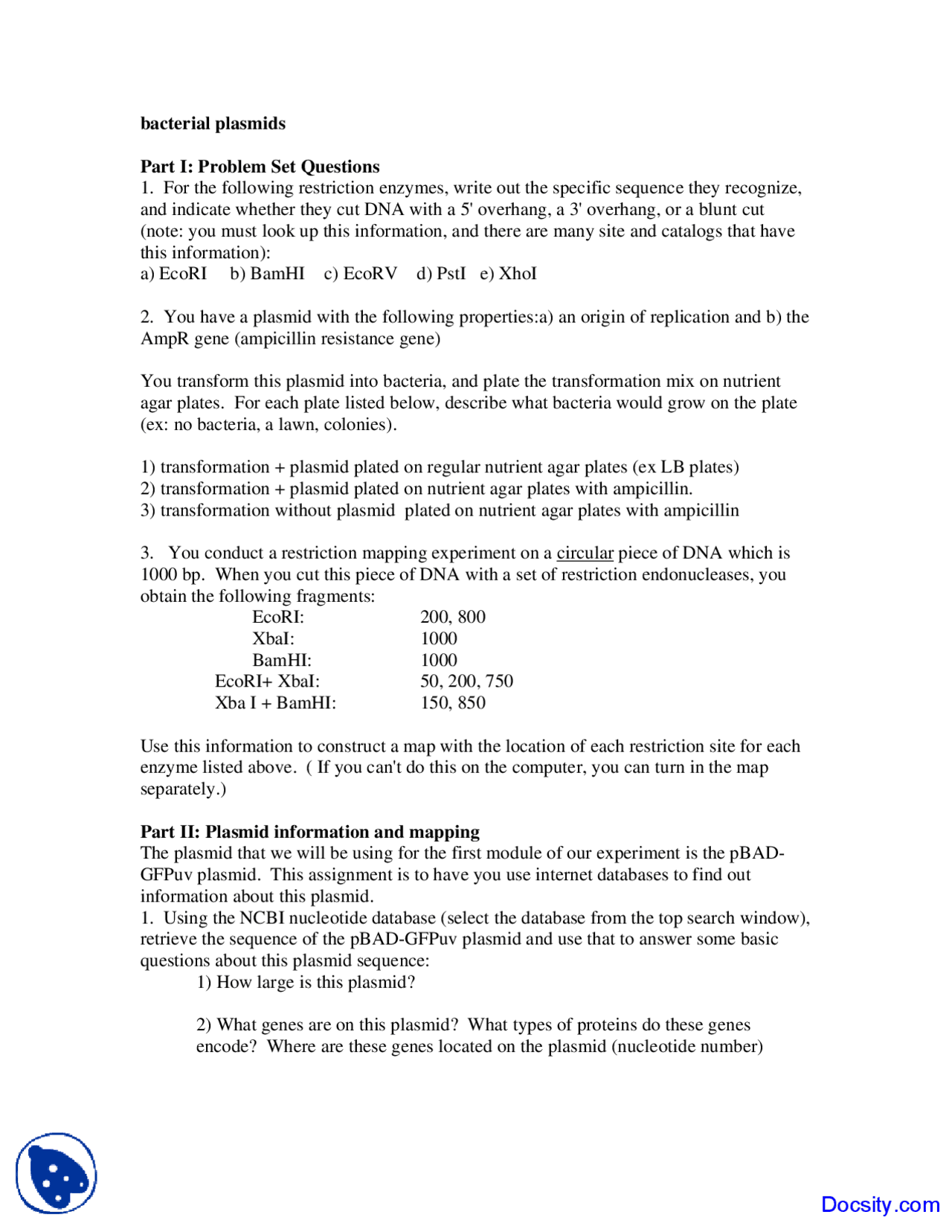 Bacterial Plasmids Techniques In Molecular Biology Quiz Docsity