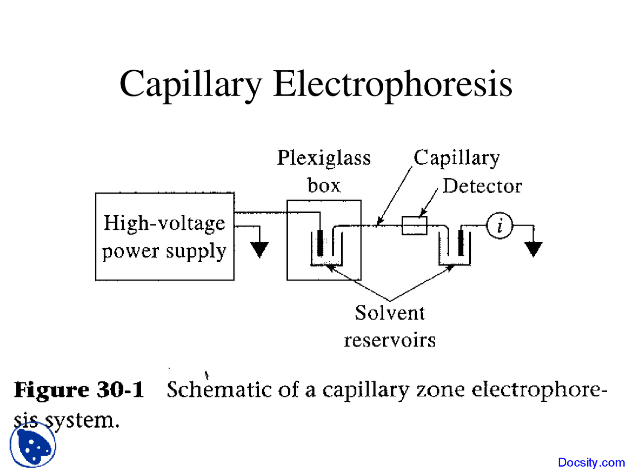 Capillary Electrophoresis - Instrumental Analytical Chemistry - Lecture ...