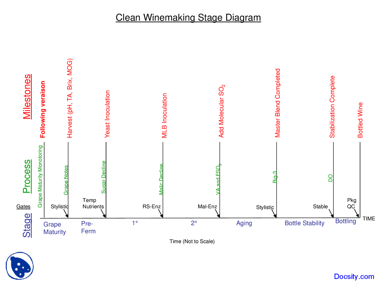 Clean Winemaking Stage Diagram Wine Lecture Slides Docsity