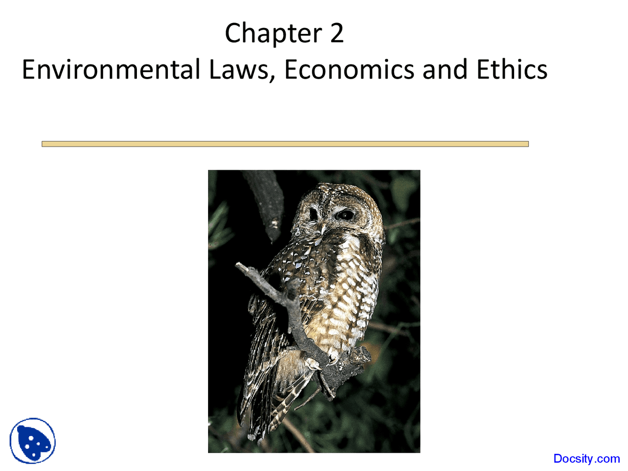Environmental Laws - Introduction to Ecology - Lecture Slides - Docsity