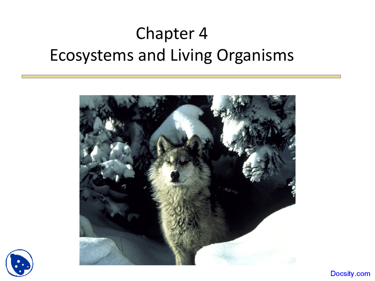 Ecosystems And Living Organisms Introduction To Ecology Lecture