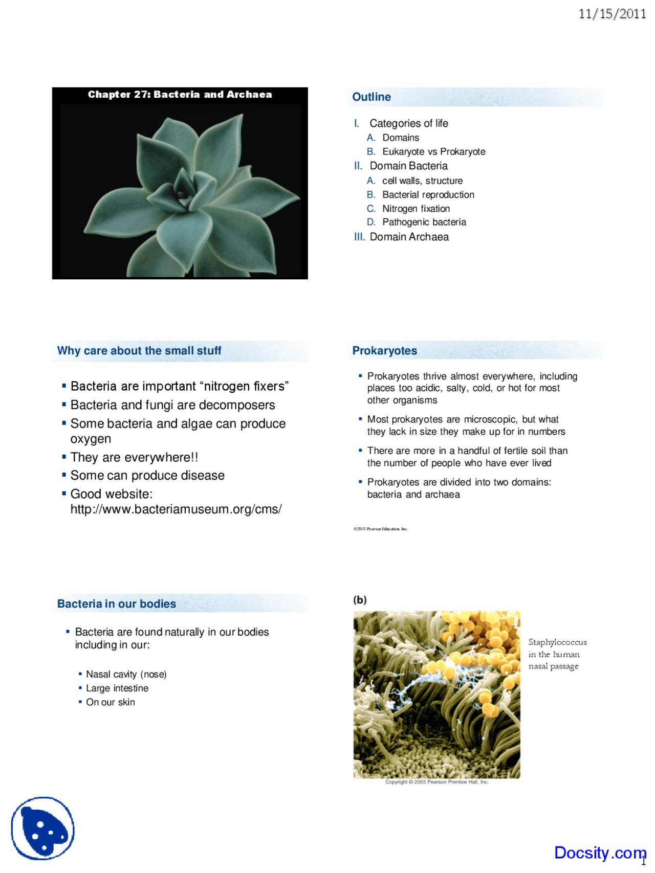 Bacteria And Archaea General Biology Lecture Slides Docsity