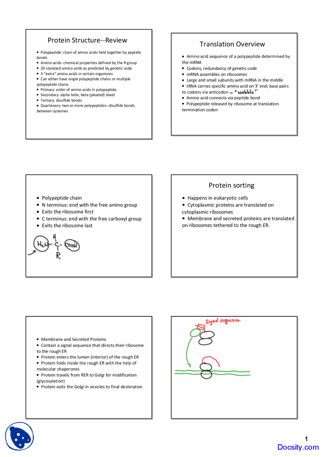 Protein Structure - Techniques in Molecular Biology - Lecture Slides ...