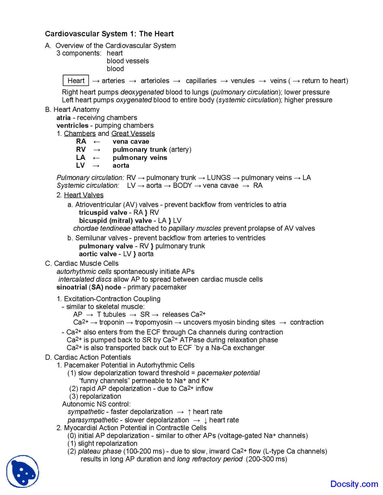 Cardiovascular System - Human Physiology - Lecture Notes | Study notes ...