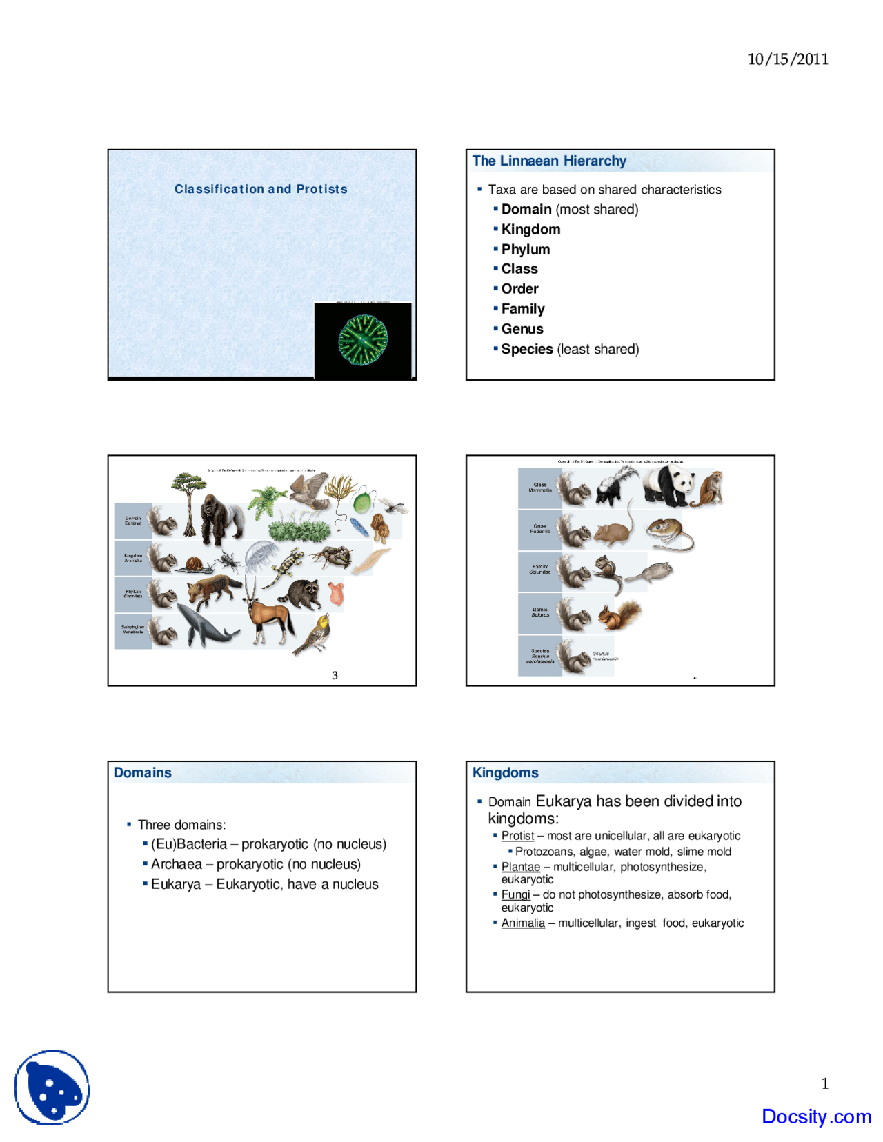 Classification And Protists General Biology Lecture Slides Docsity