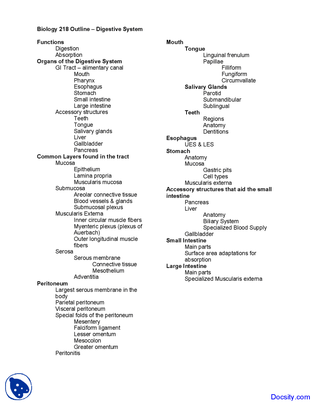 Digestive System - Human Anatomy - Handout - Docsity