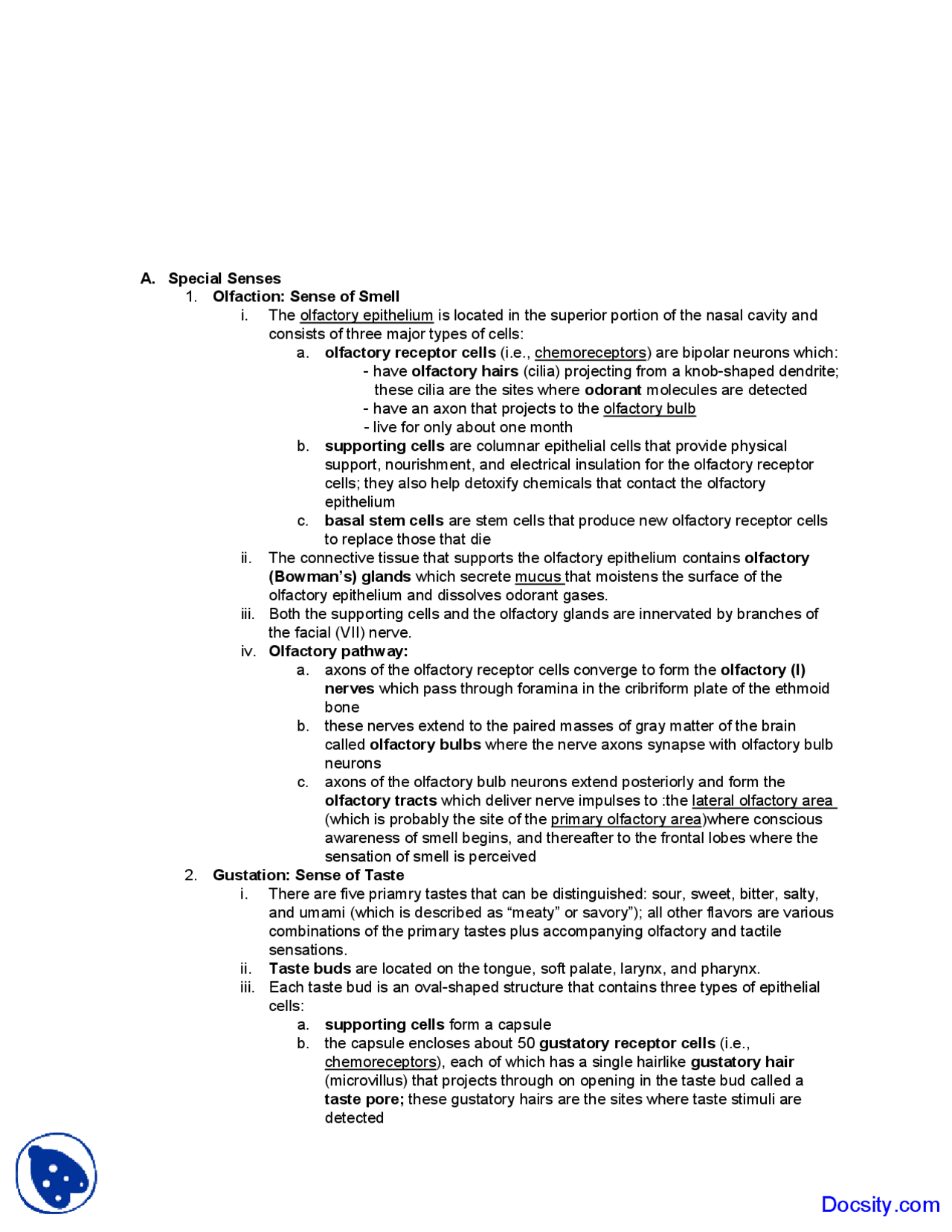 Special Senses Human Anatomy Lecture Notes Docsity
