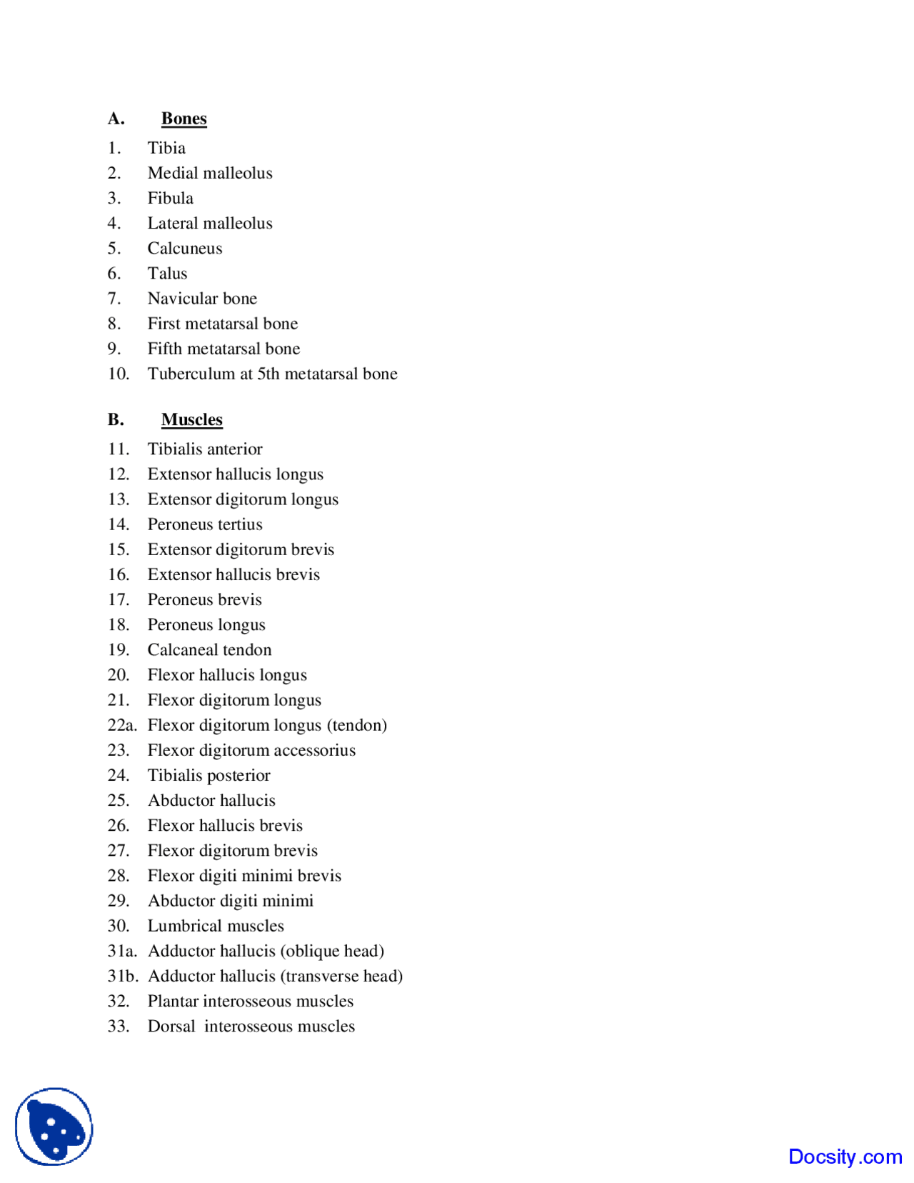 Foot Model - Human Anatomy - Handout - Docsity