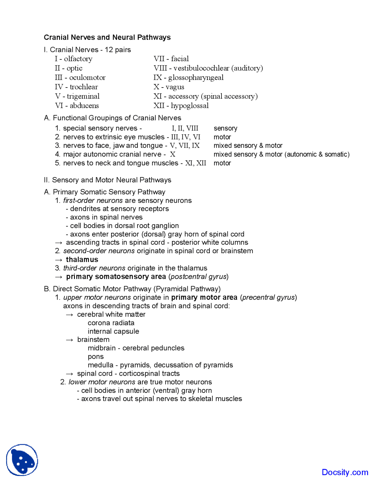 Cranial Nerves - Human Anatomy - Handout - Docsity