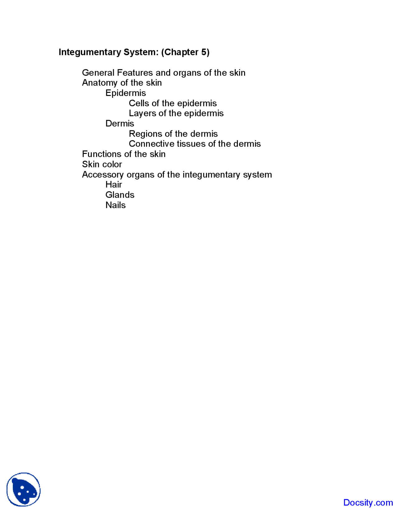 Integumentary System - Human Anatomy - Handout | Exercises Anatomy ...