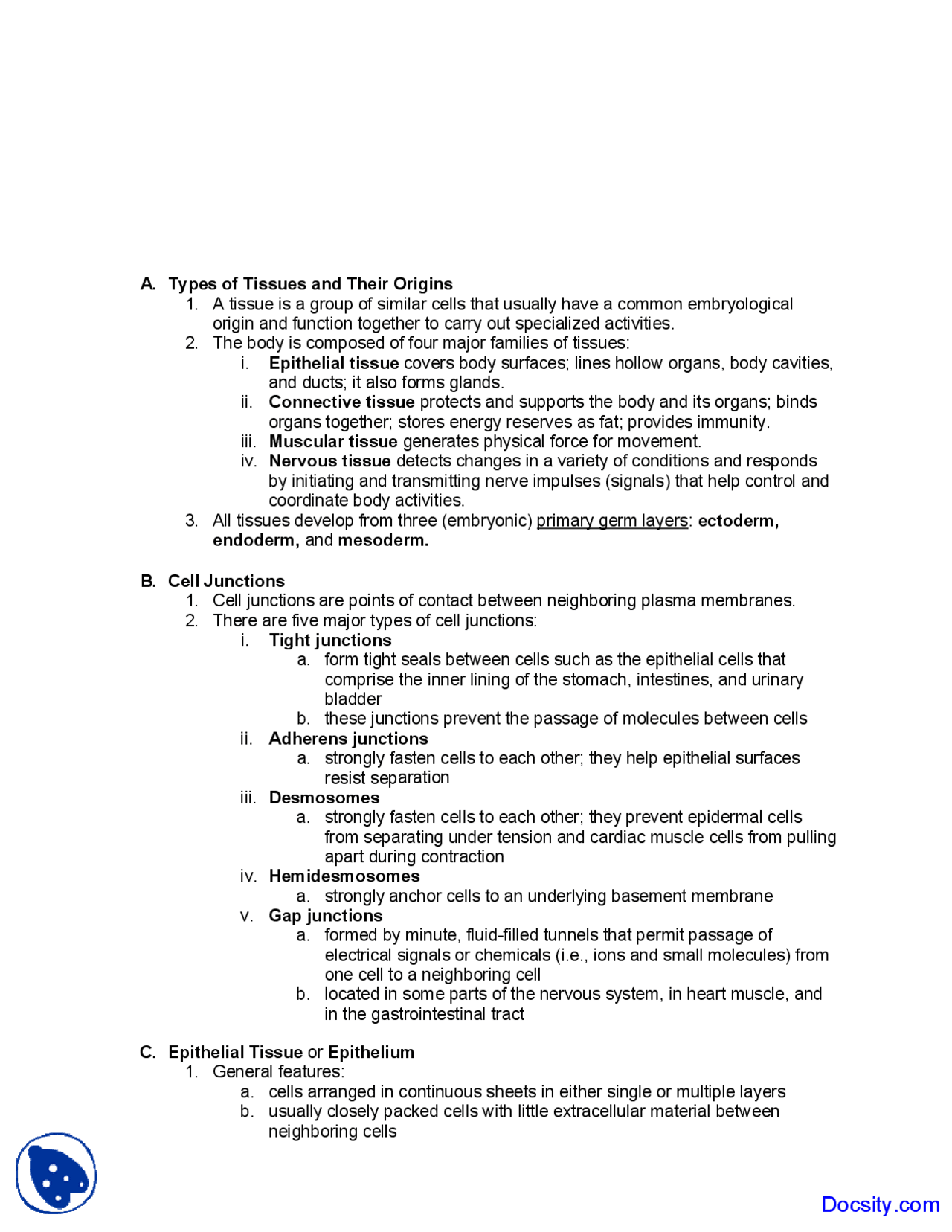Types of Tissues - Human Anatomy - Lecture Notes | Study notes Anatomy ...