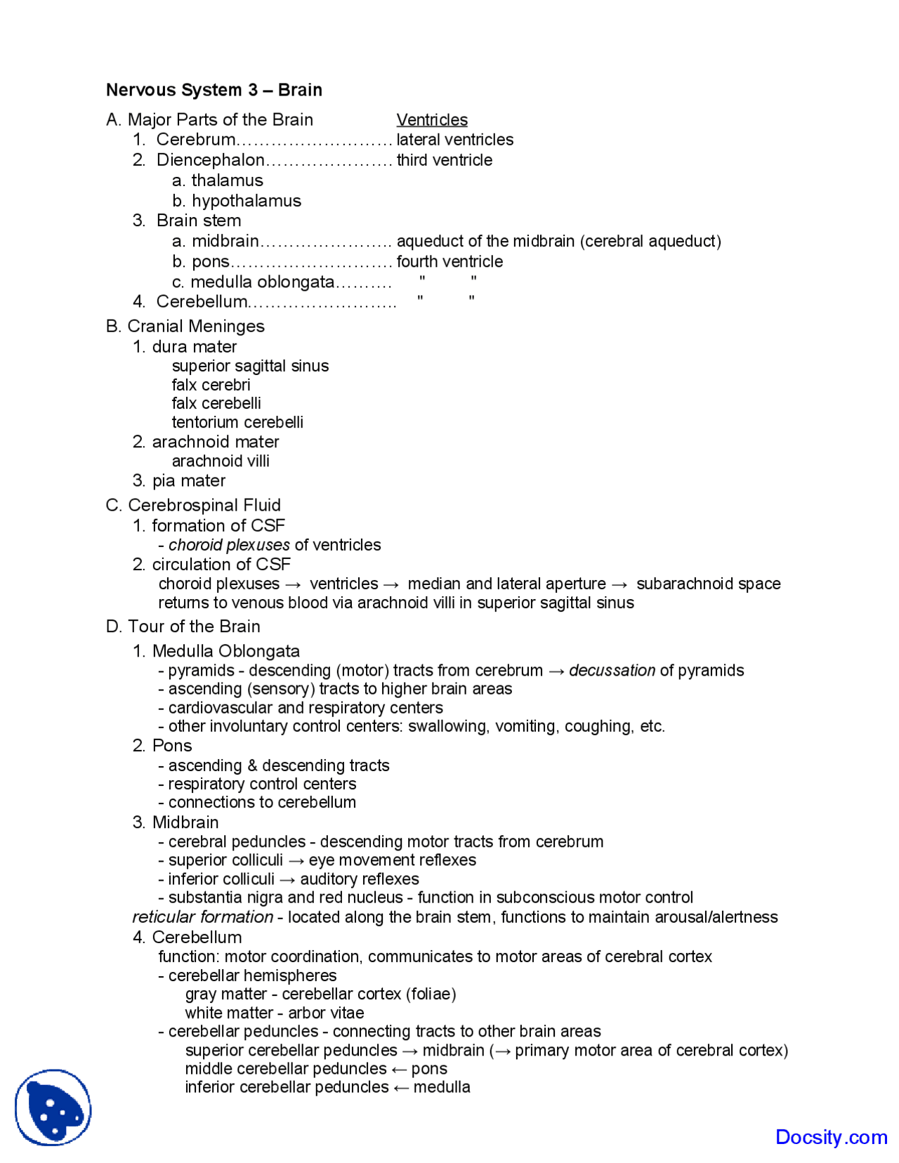 Nervous System, Parts of Brain - Human Anatomy - Handout - Docsity