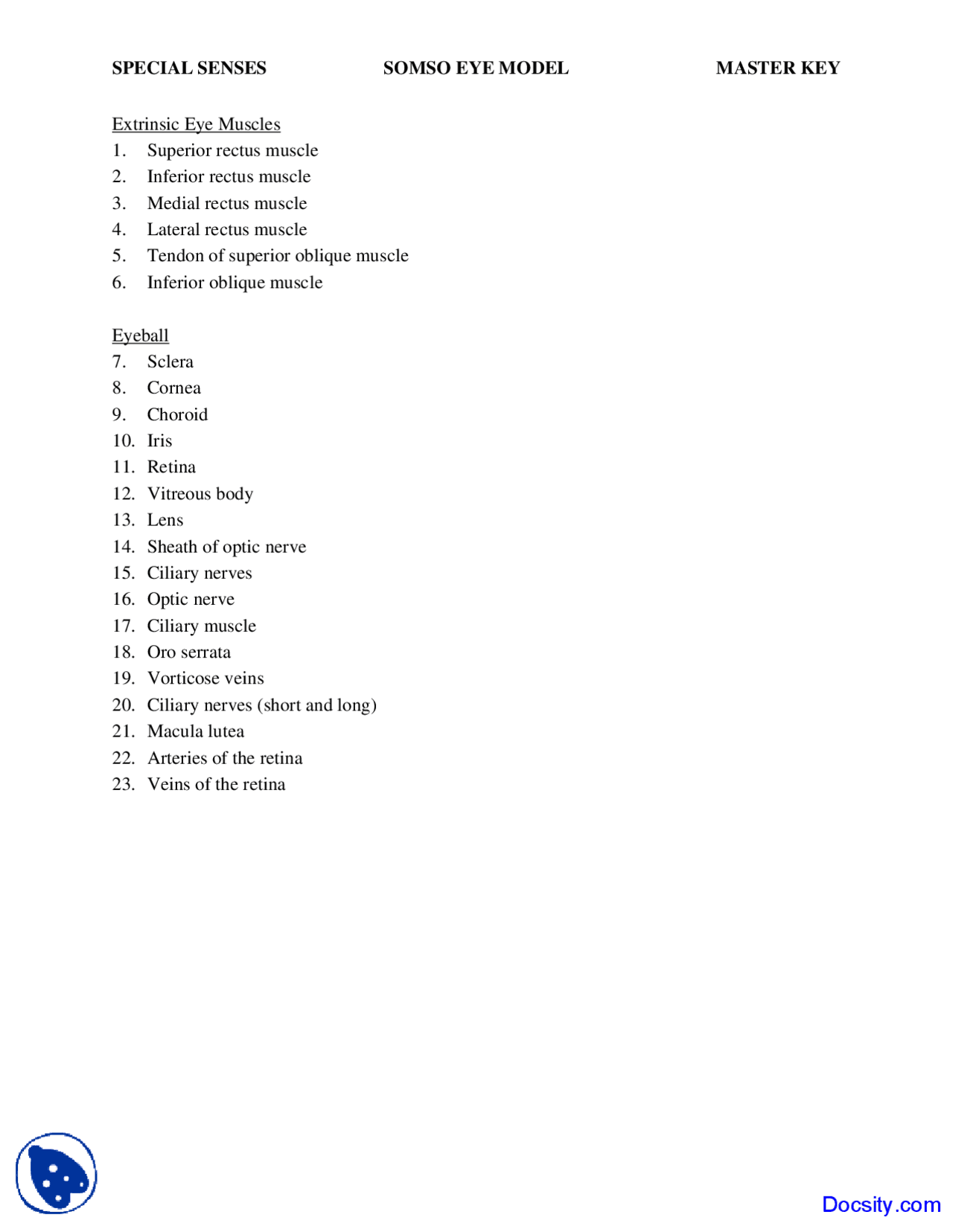 Anatomy of the Special Senses: Eye and Ear Models | Exercises Anatomy ...