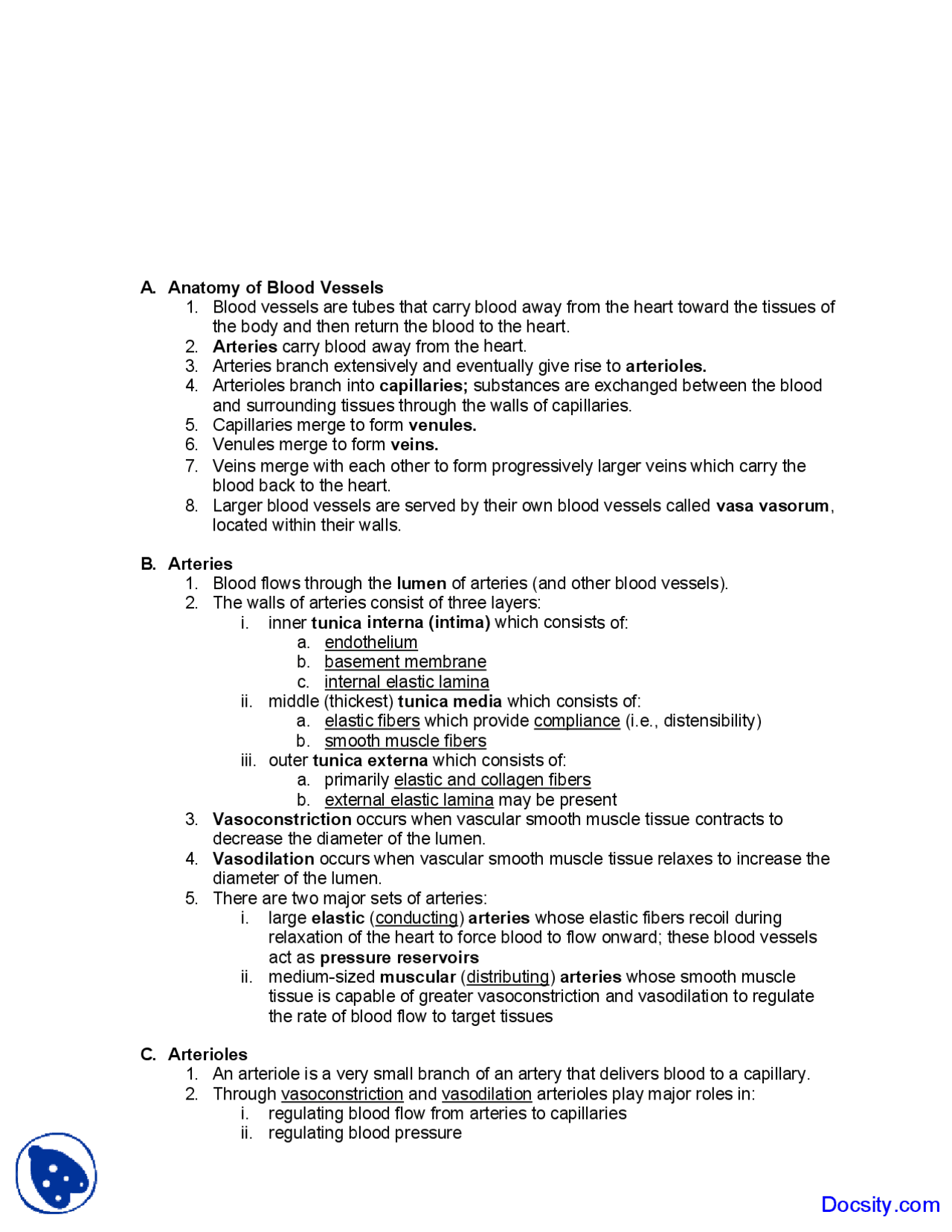 Anatomy of Blood Vessels - Human Anatomy - Lecture Notes | Study notes ...