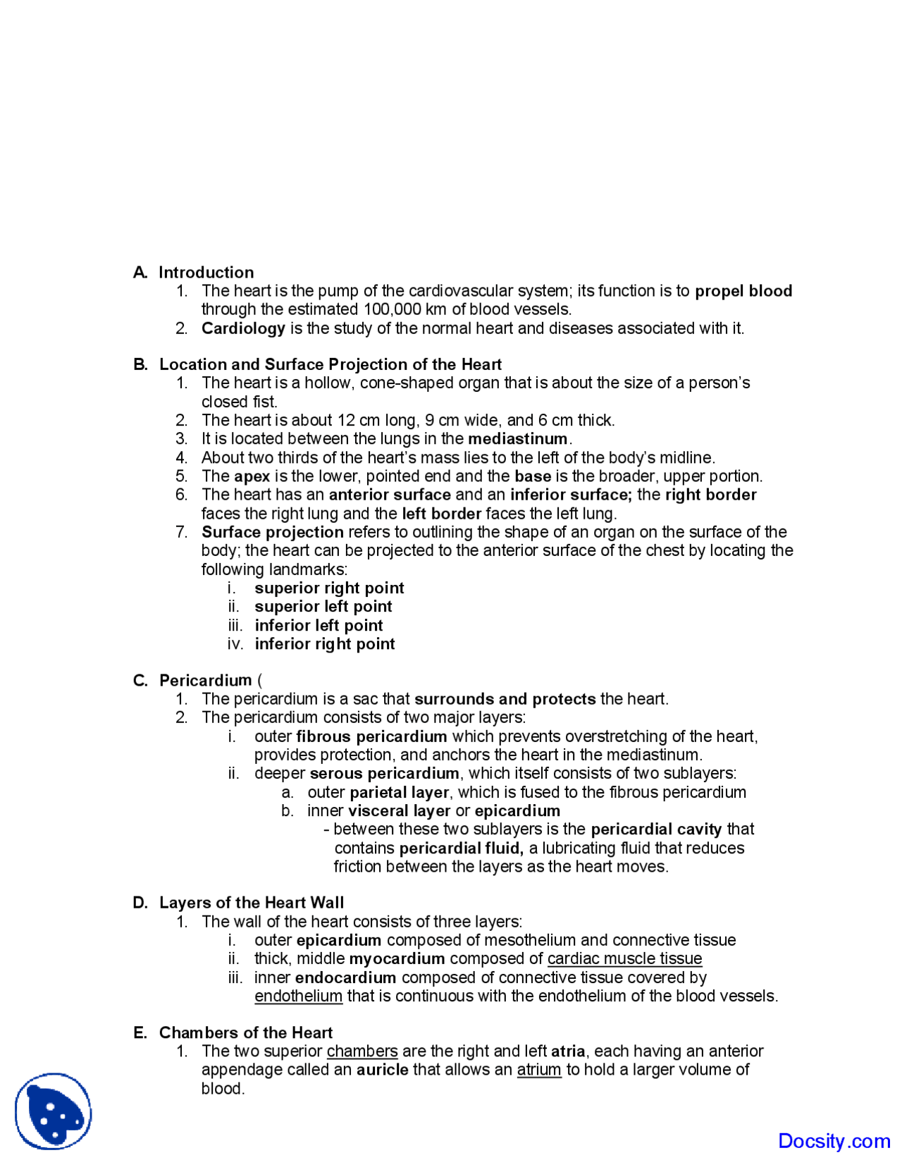 Surface Projection of Heart - Human Anatomy - Lecture Notes - Docsity