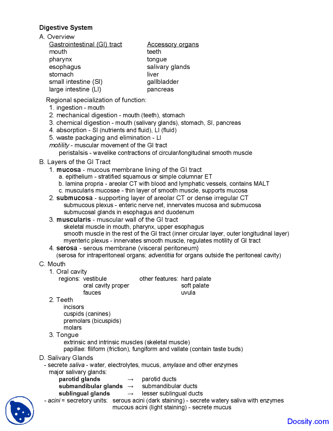 Digestive System, Gastrointestinal Tract - Human Anatomy - Handout ...