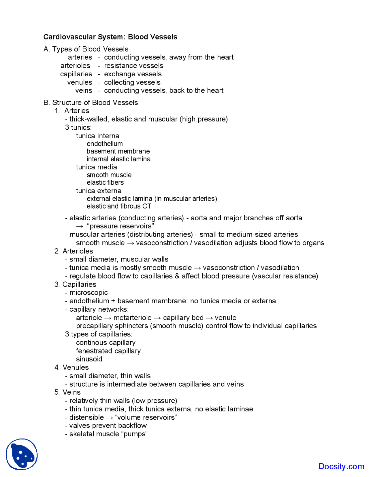 Cardiovascular System, Blood Vessels - Human Anatomy - Handout - Docsity