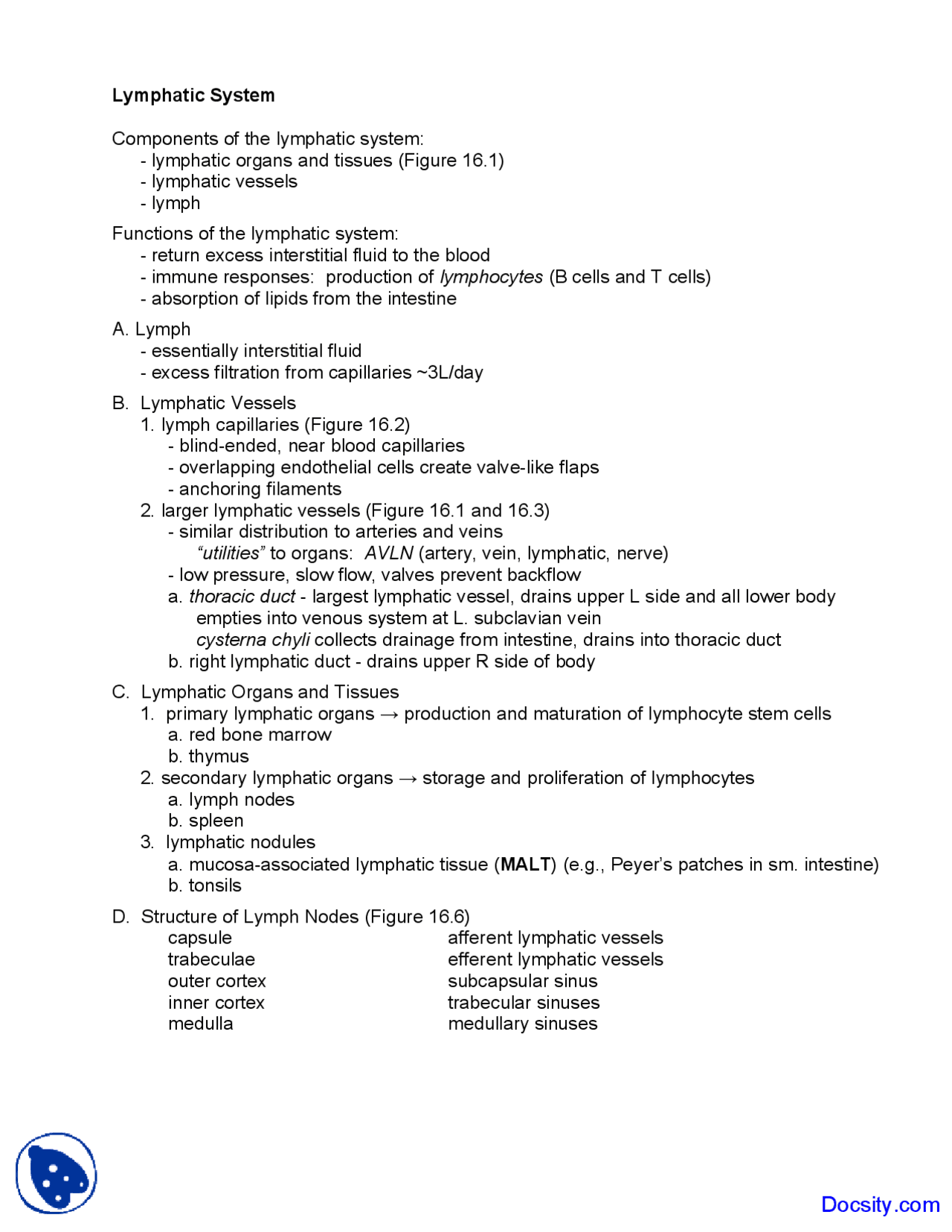 Lymphatic System - Human Anatomy - Handout - Docsity