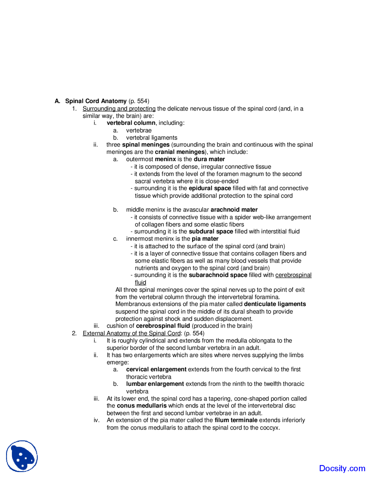 Spinal Cord Anatomy - Human Anatomy - Lecture Notes - Docsity