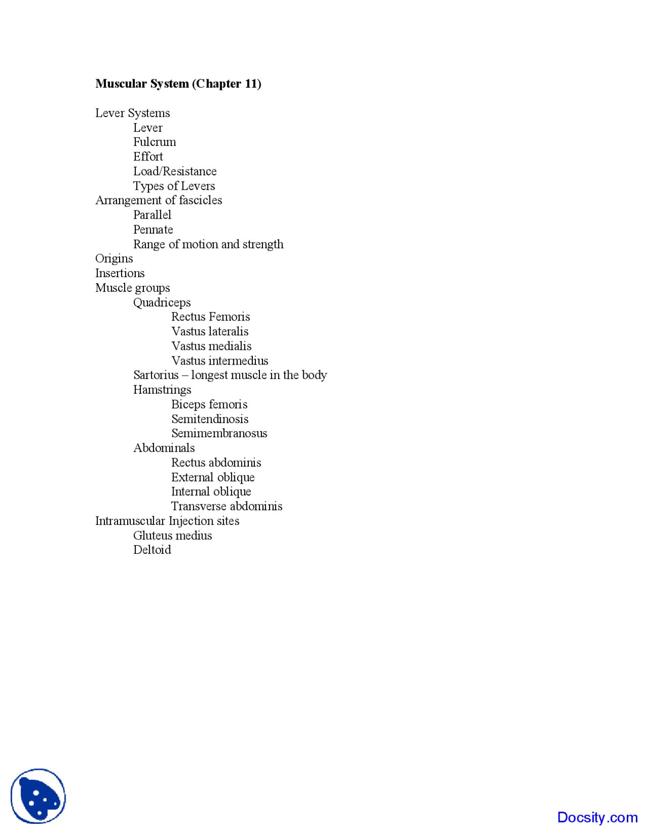 Muscular System Human Anatomy Handout Docsity