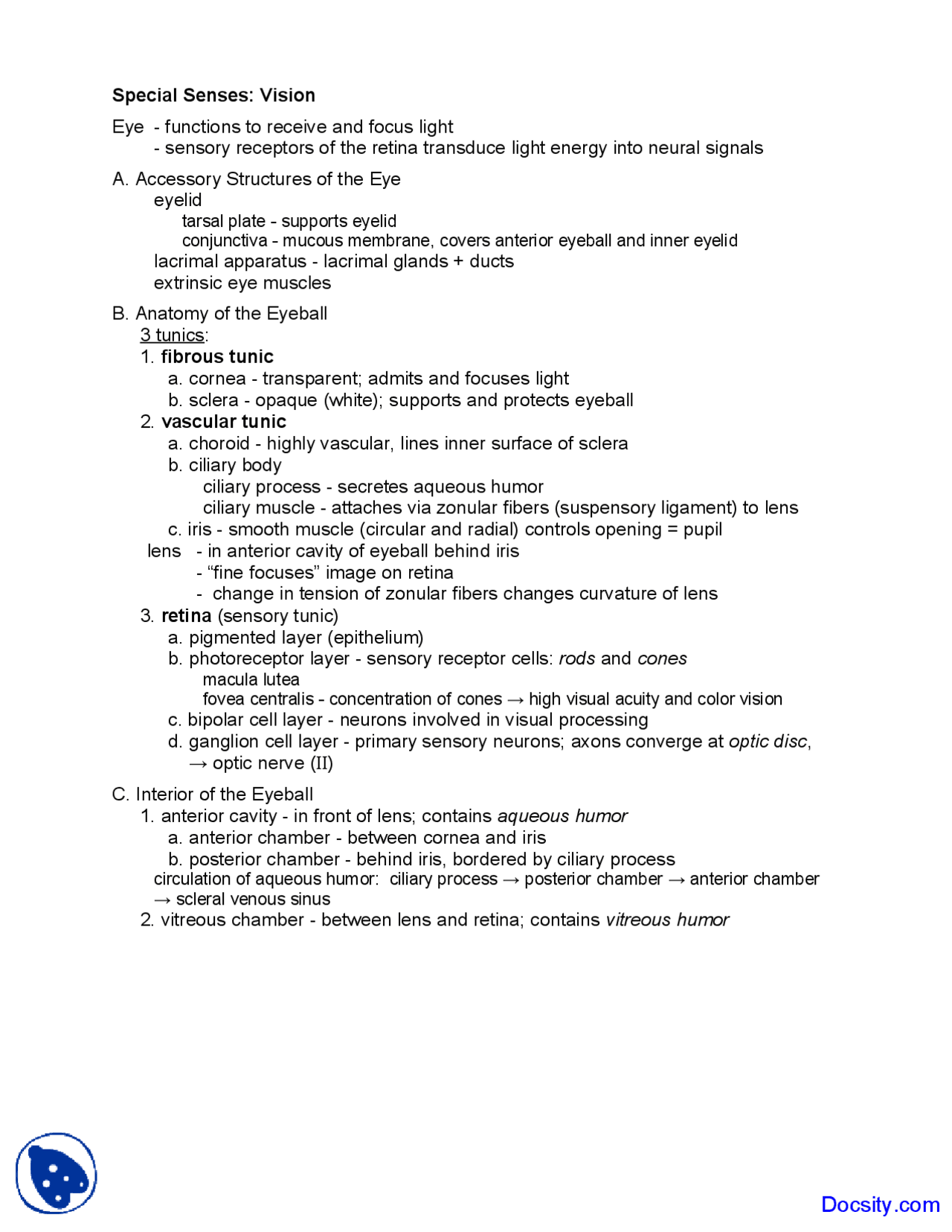 Special Senses Vision - Human Anatomy - Handout - Docsity