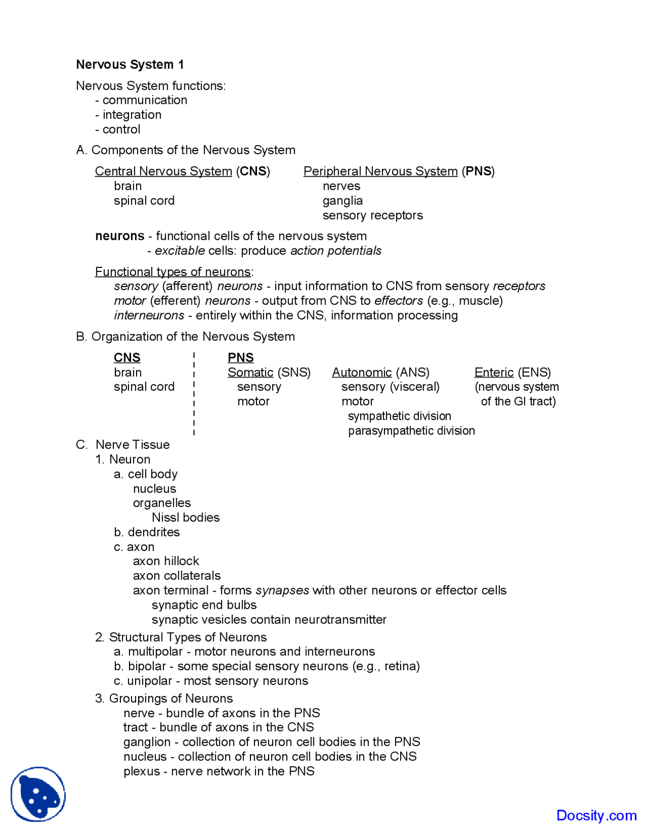 Components of Nervous System - Human Anatomy - Handout - Docsity