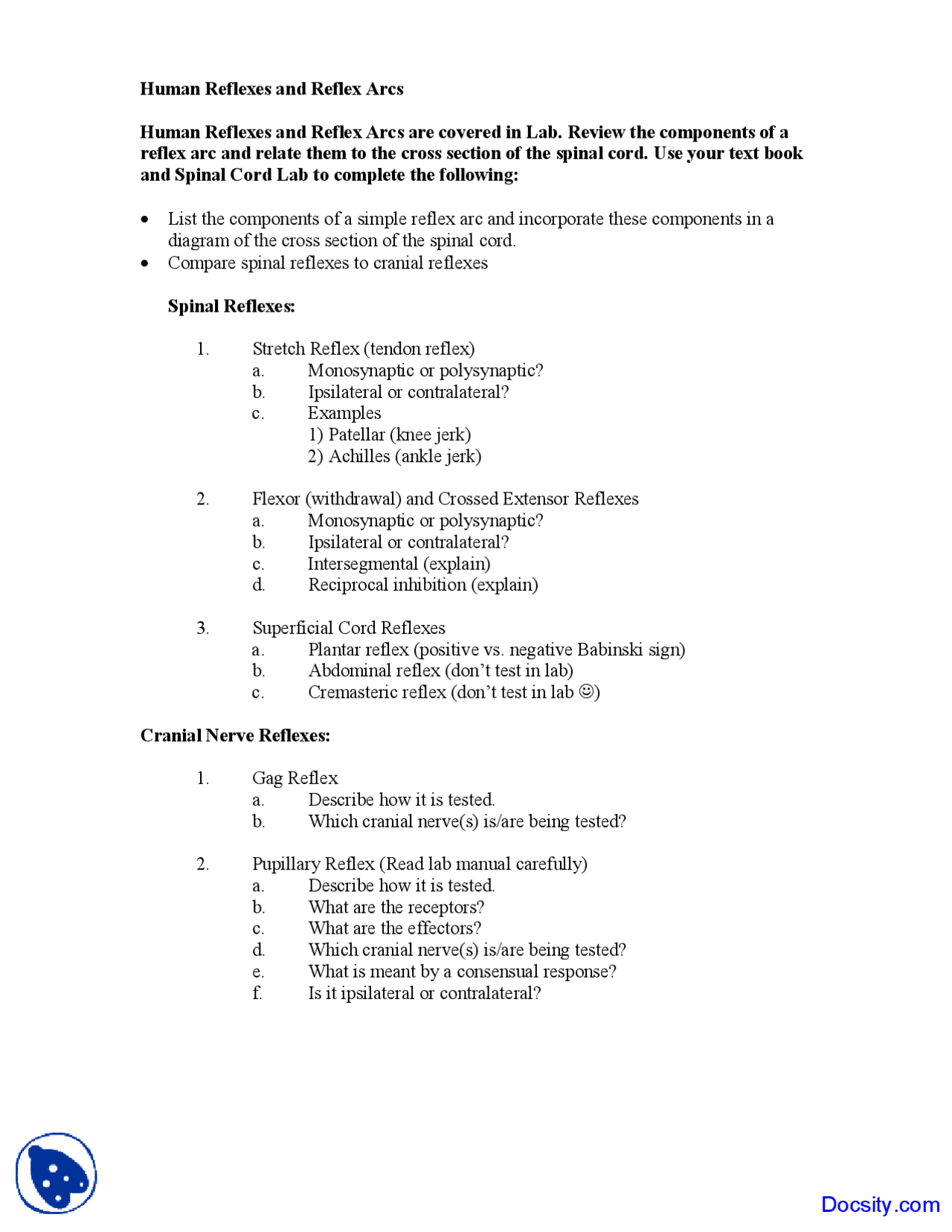 Human Reflexes and Reflex Arcs Fall - Human Anatomy and Physiology ...