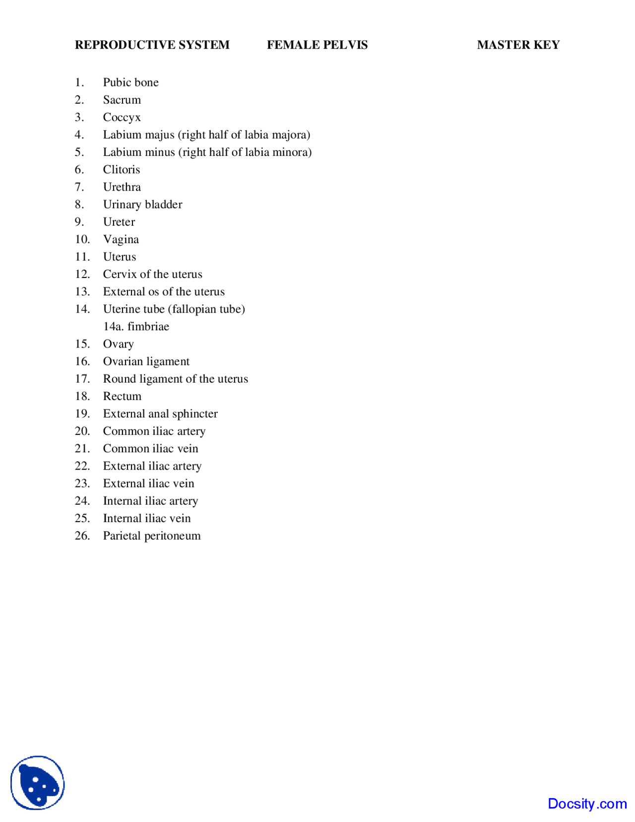 Reproductive System Models - Human Anatomy - Handout - Docsity