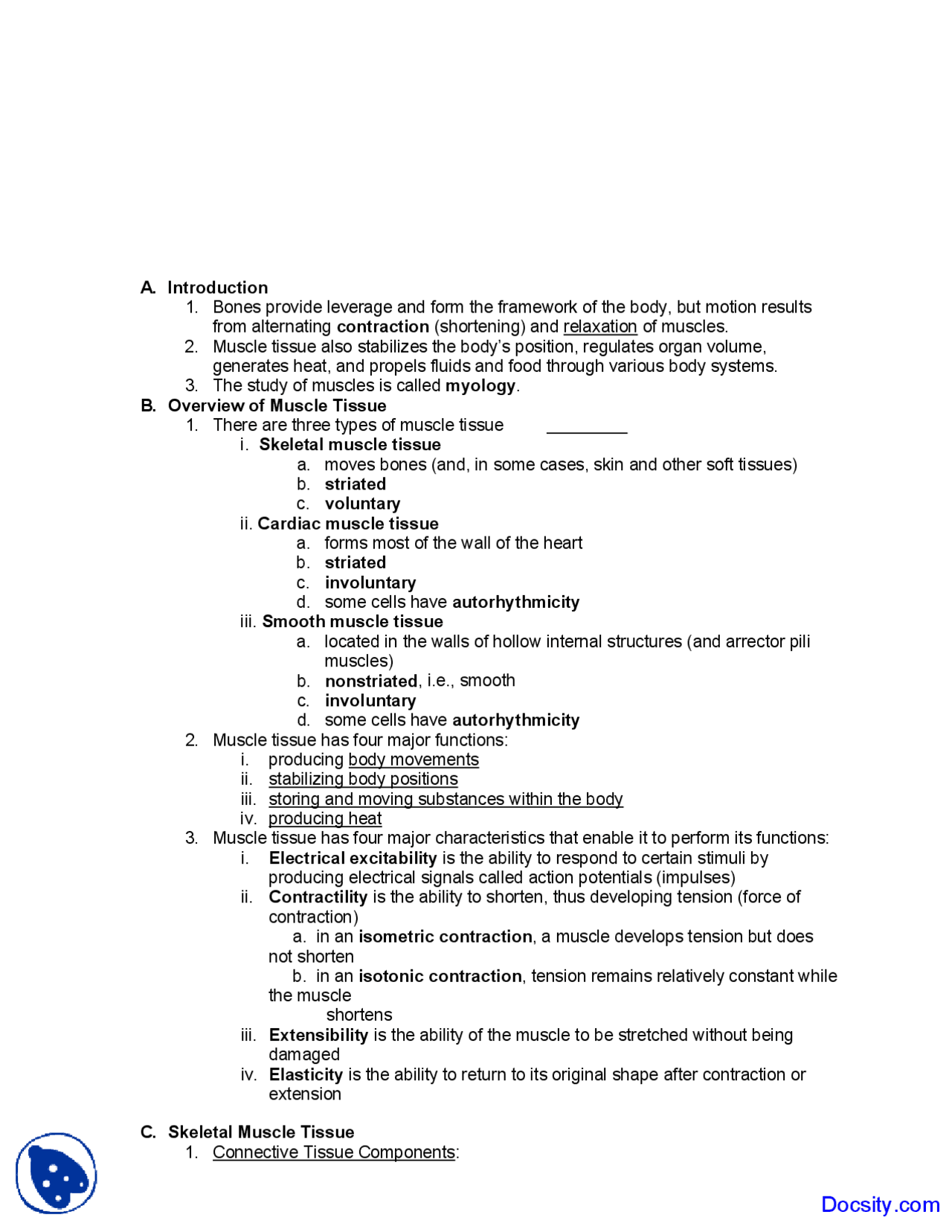 Overview Of Muscle Tissue Human Anatomy Lecture Notes Docsity