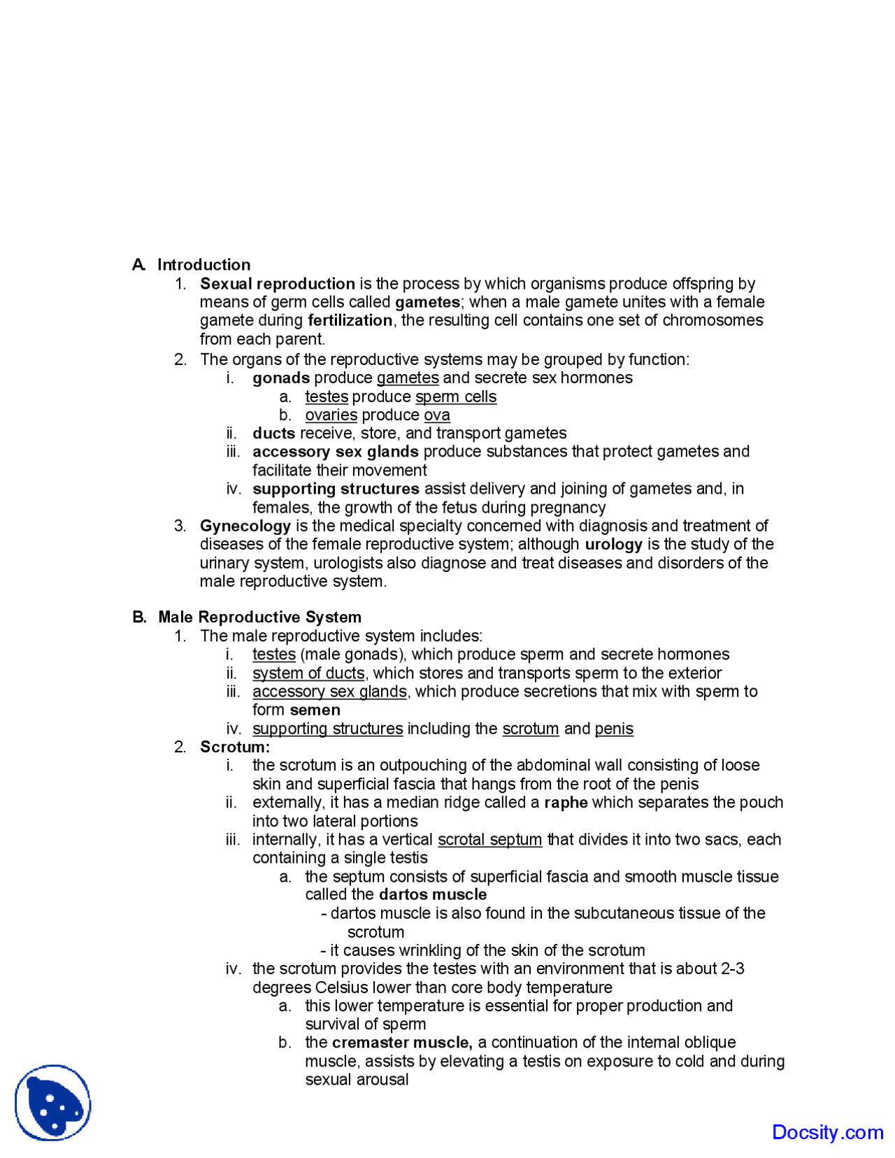 Reproductive System - Human Anatomy - Lecture Notes | Study notes ...