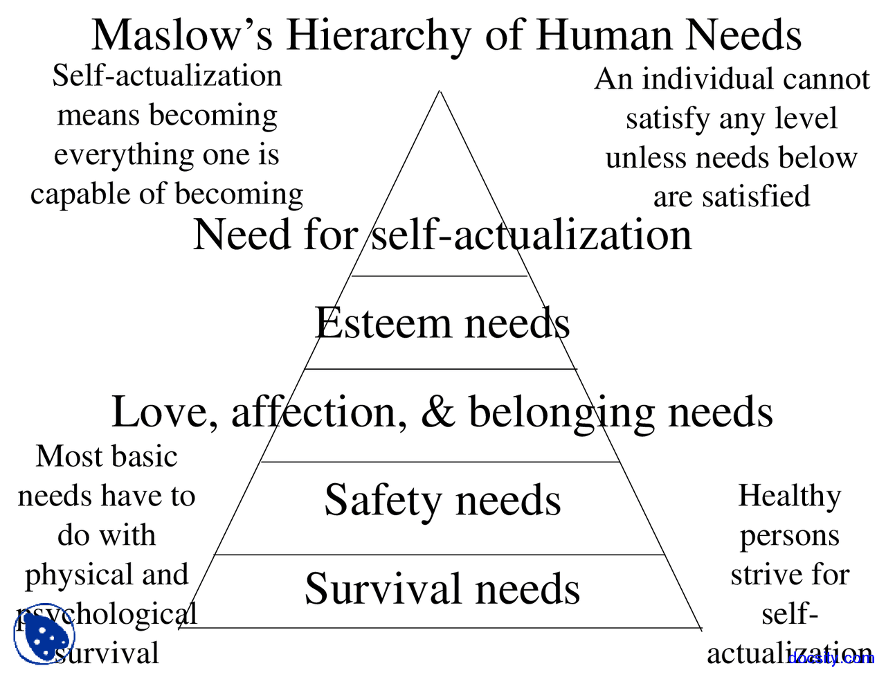 Hierarchy of Human Needs - Program Development and Evaluation - Lecture Slides - Docsity