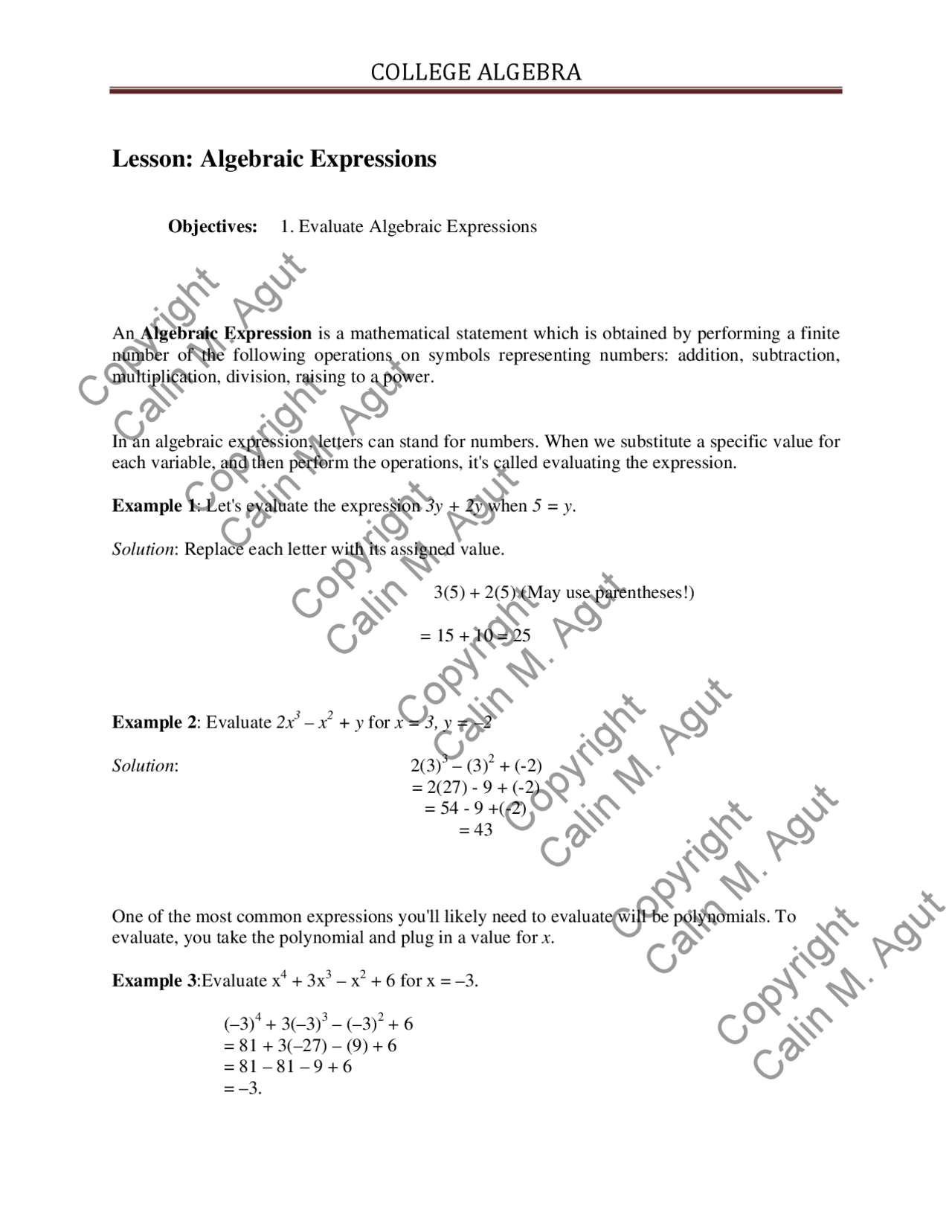 Algebraic Expressions Algebra Lecture Notes Docsity