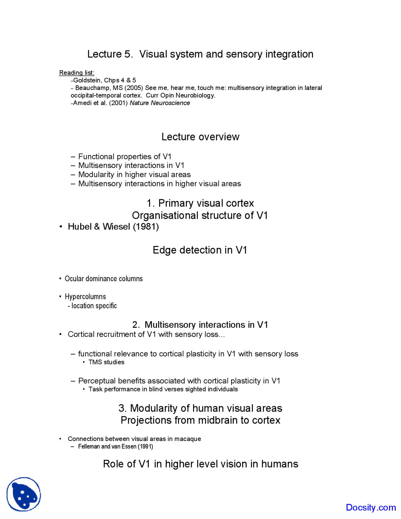 Visual System And Sensory Integration Cross Modal Cognition Lecture