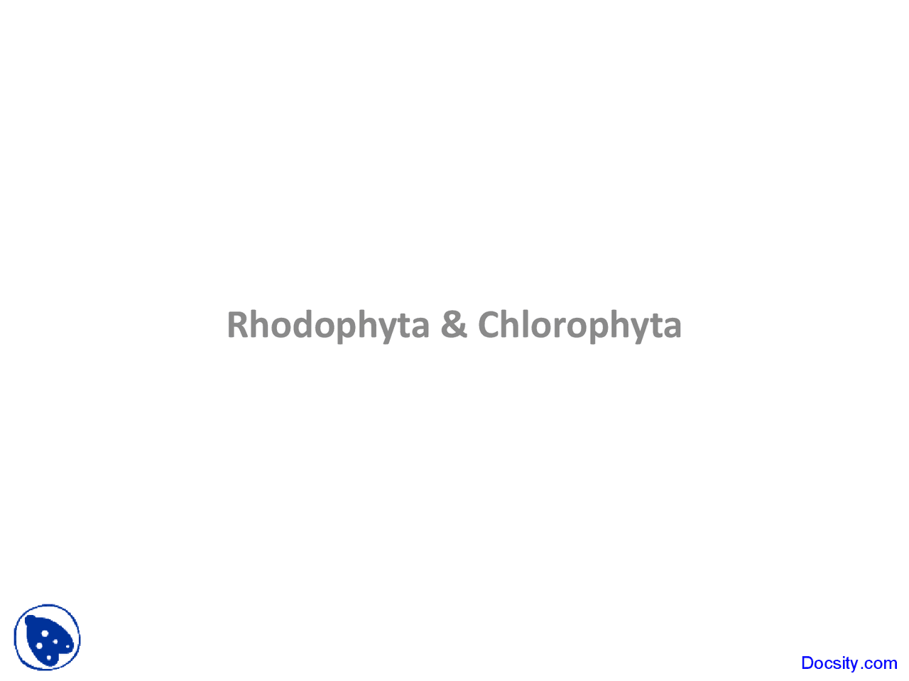 Rhodophyta and Chlorophyta - Evolution of Plants - Lecture Slides - Docsity