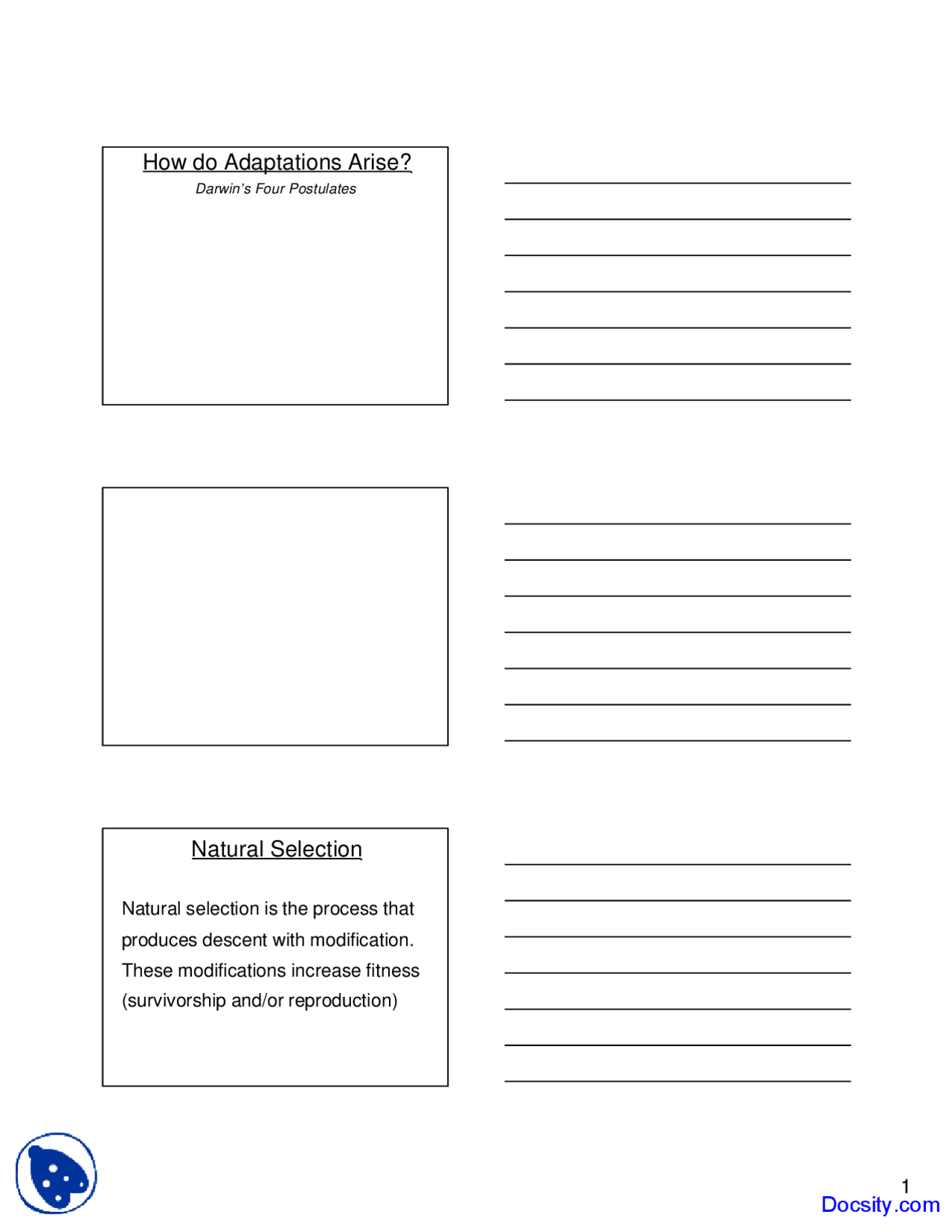 Natural Selection and Beak Adaptations in Galapagos Finches | Slides ...