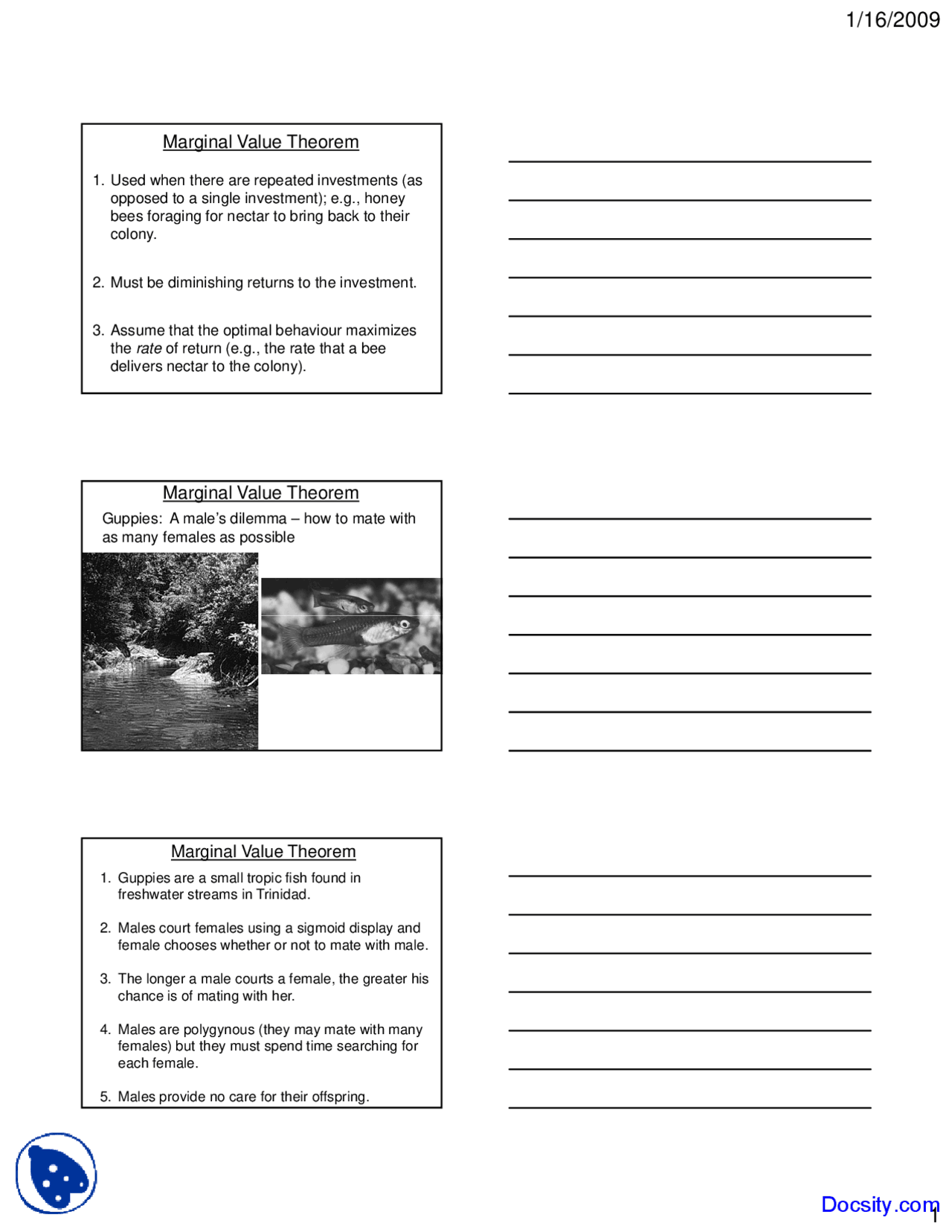 Marginal Value Theorem - Behavioral Ecology - Lecture Slides | Slides ...