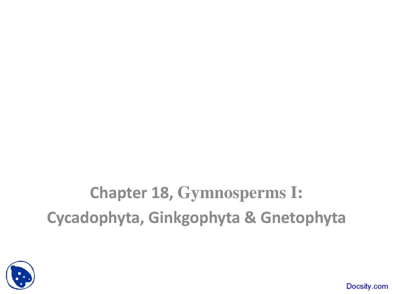 Gymnosperms Evolution Of Plants Lecture Slides Docsity